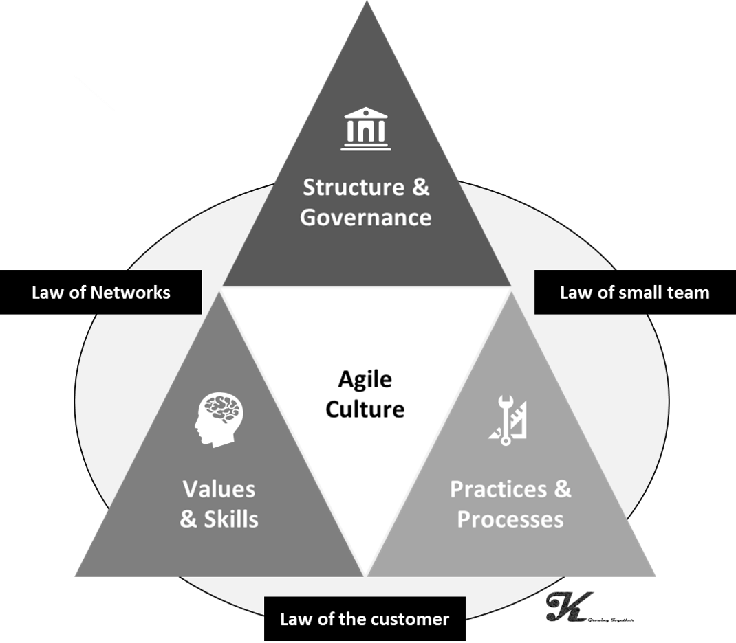 Agile Culture Check: Gain a quick insight into the agility of your ...